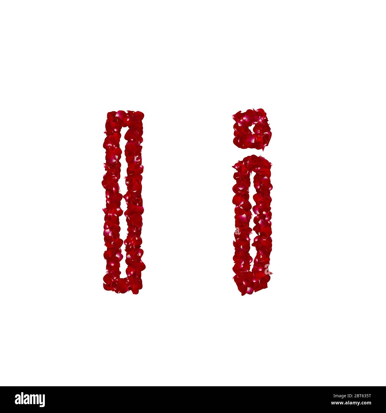 The letter "I" is made of red rose petals. Isolated white background ...