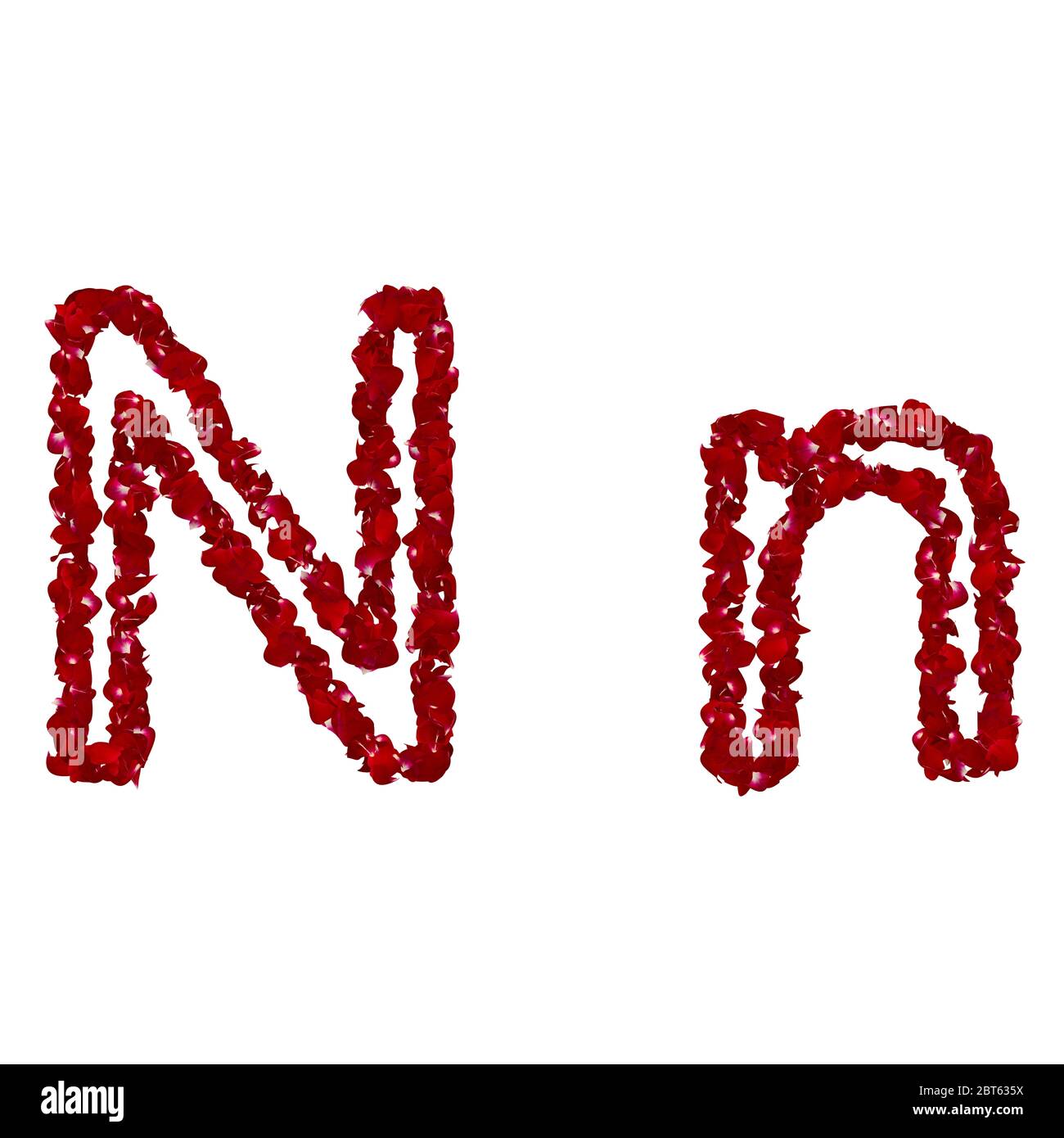 The letter "N" is made of red rose petals. Isolated white background ...