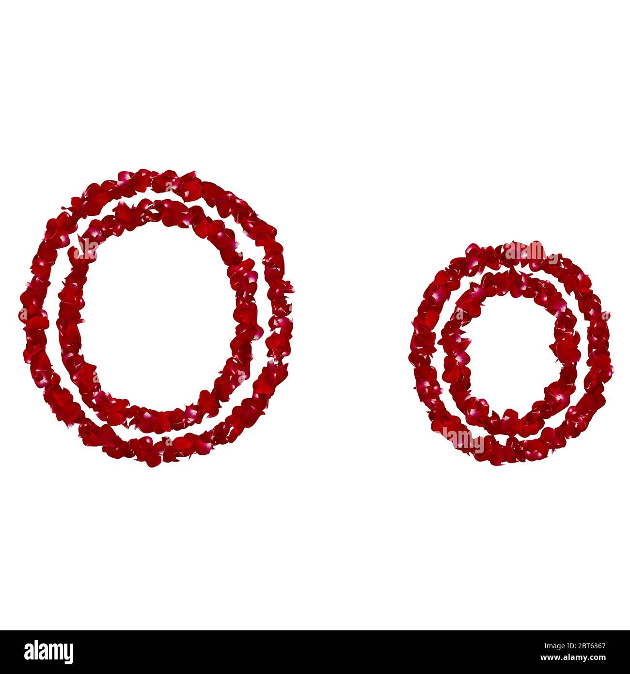 The letter "O" is made of red rose petals. Isolated white background ...