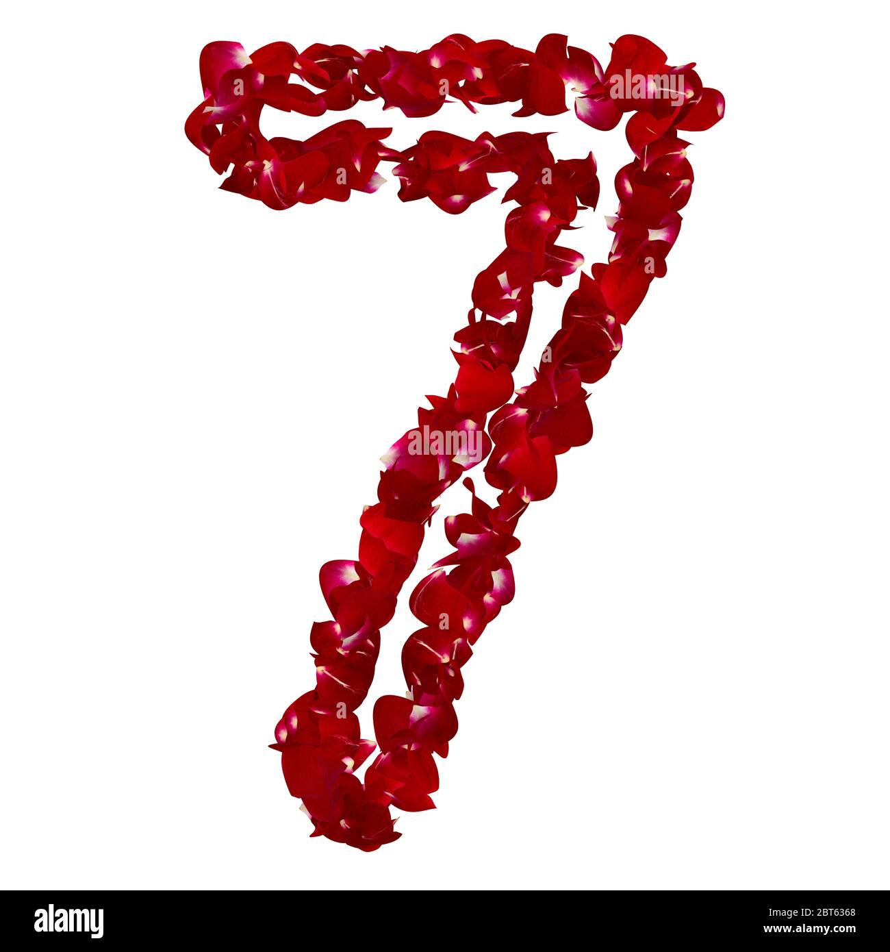 The number "7" is made of red rose petals. Isolated white background ...