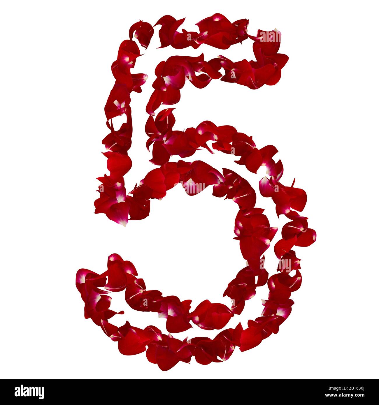 The number "5" is made of red rose petals. Isolated white background ...