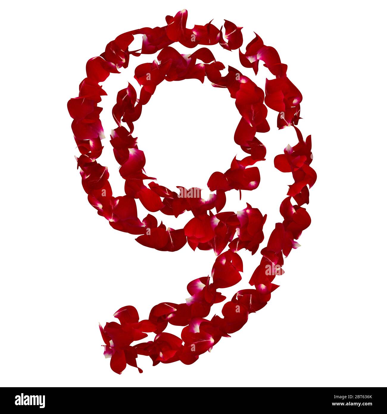 The number "9" is made of red rose petals. Isolated white background ...