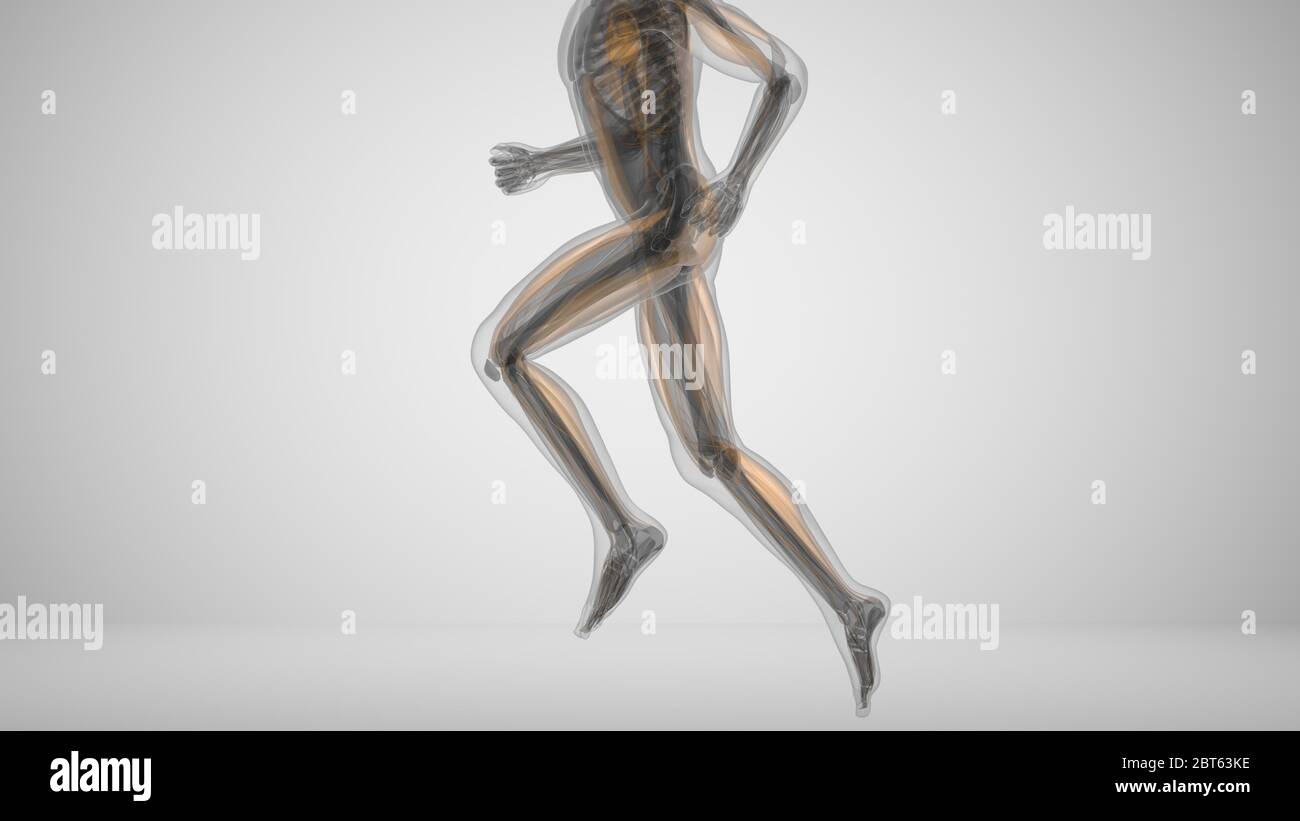 3d illustration of a running man with muscle lighting Stock Photo - Alamy