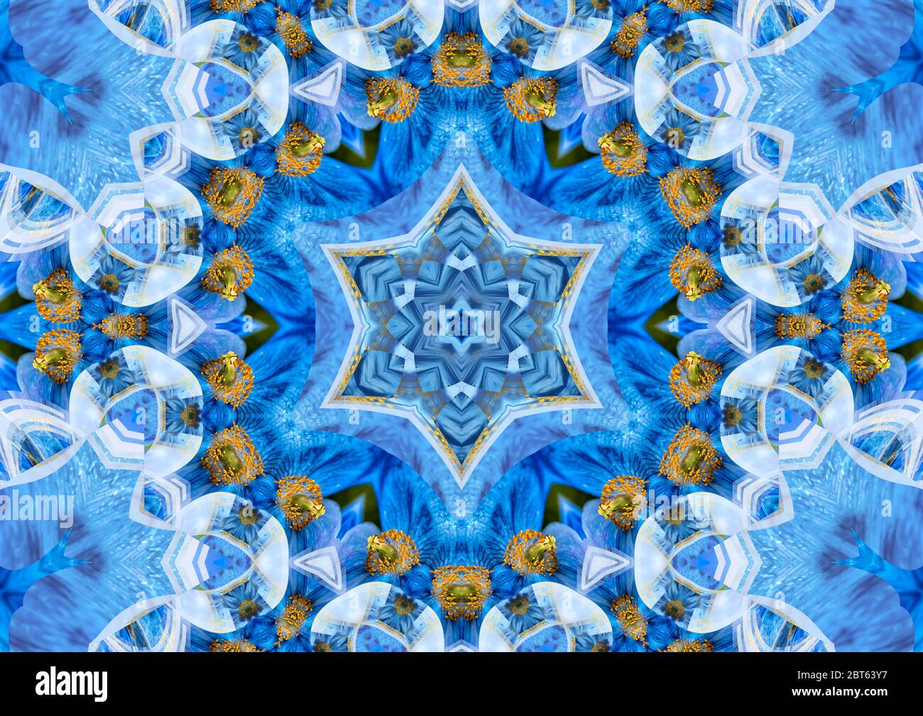 Poppy abstract art hi-res stock photography and images - Alamy