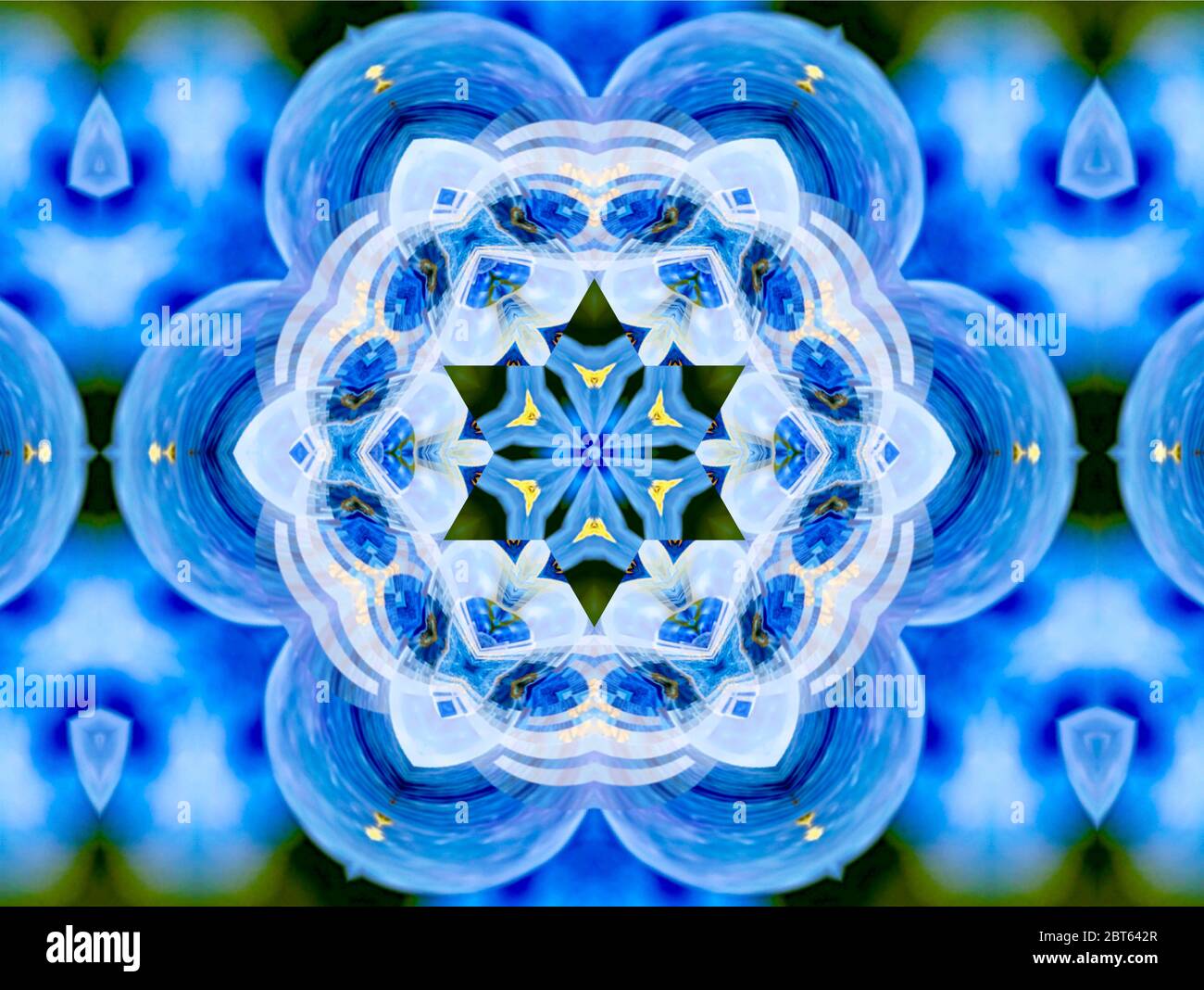 Blue Poppy Mandala Stock Photo - Alamy