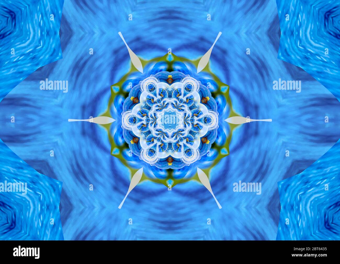 Blue Poppy Mandala Stock Photo - Alamy