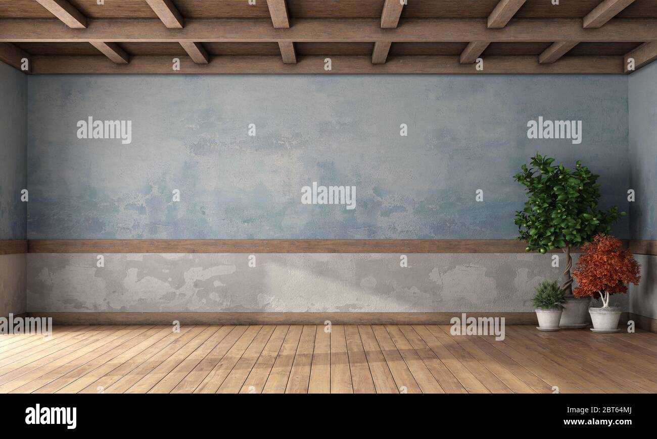 Empty retro room with old blue walls , wooden ceiling and house plants ...