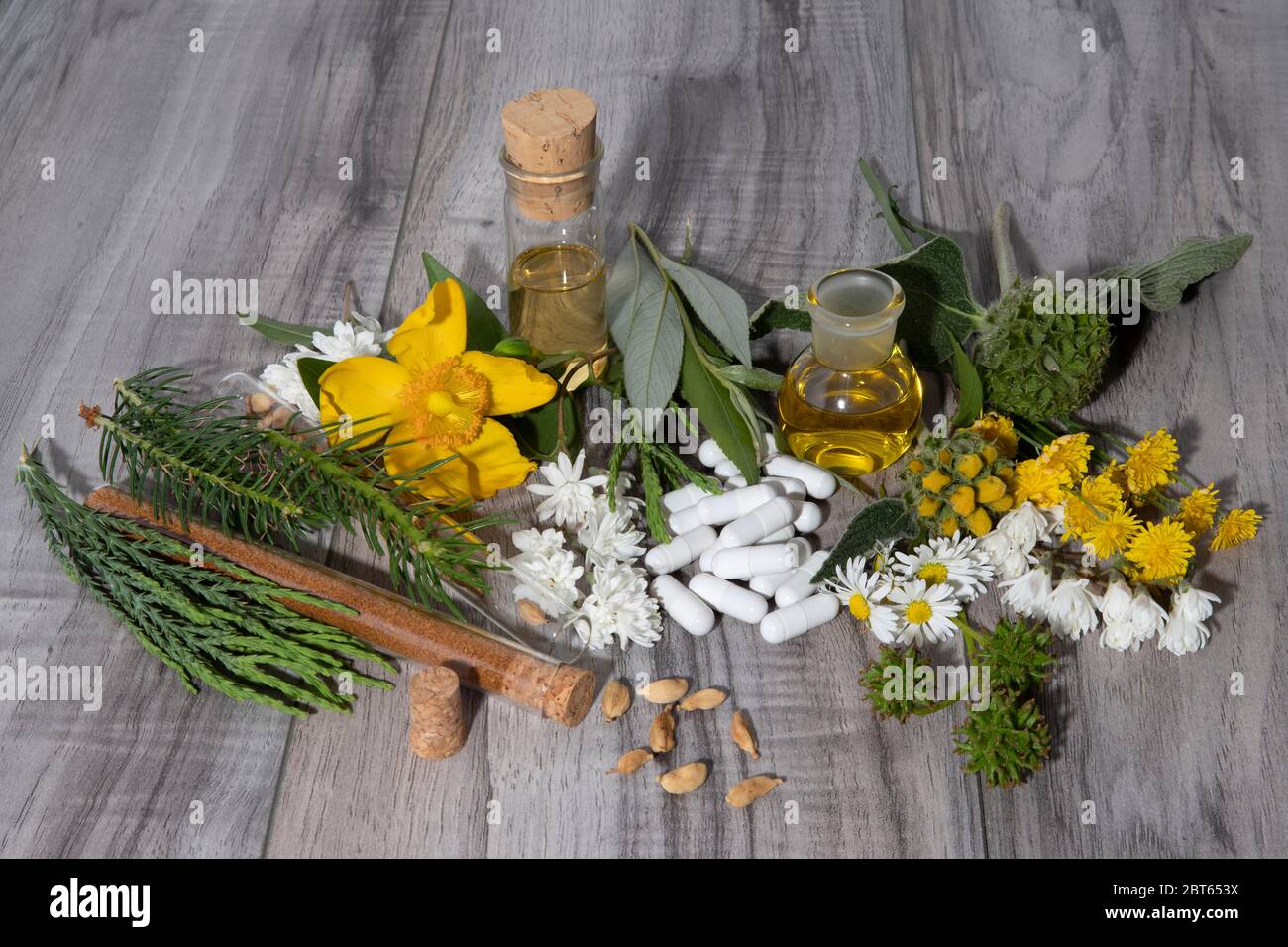 Plant based medicine flower hi-res stock photography and images - Alamy