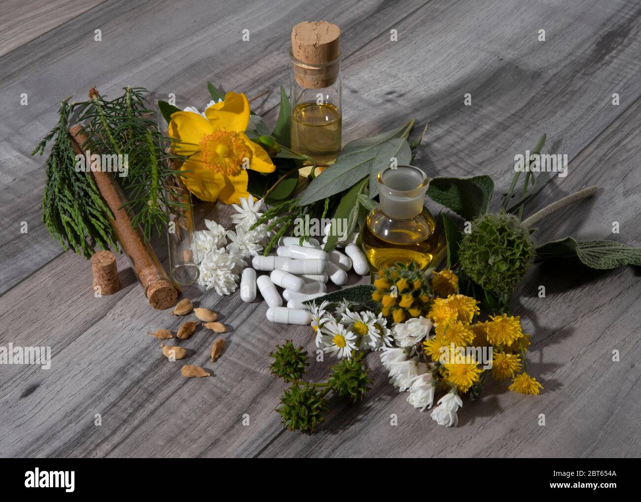 Plant-based preparation for self-healing Stock Photo - Alamy