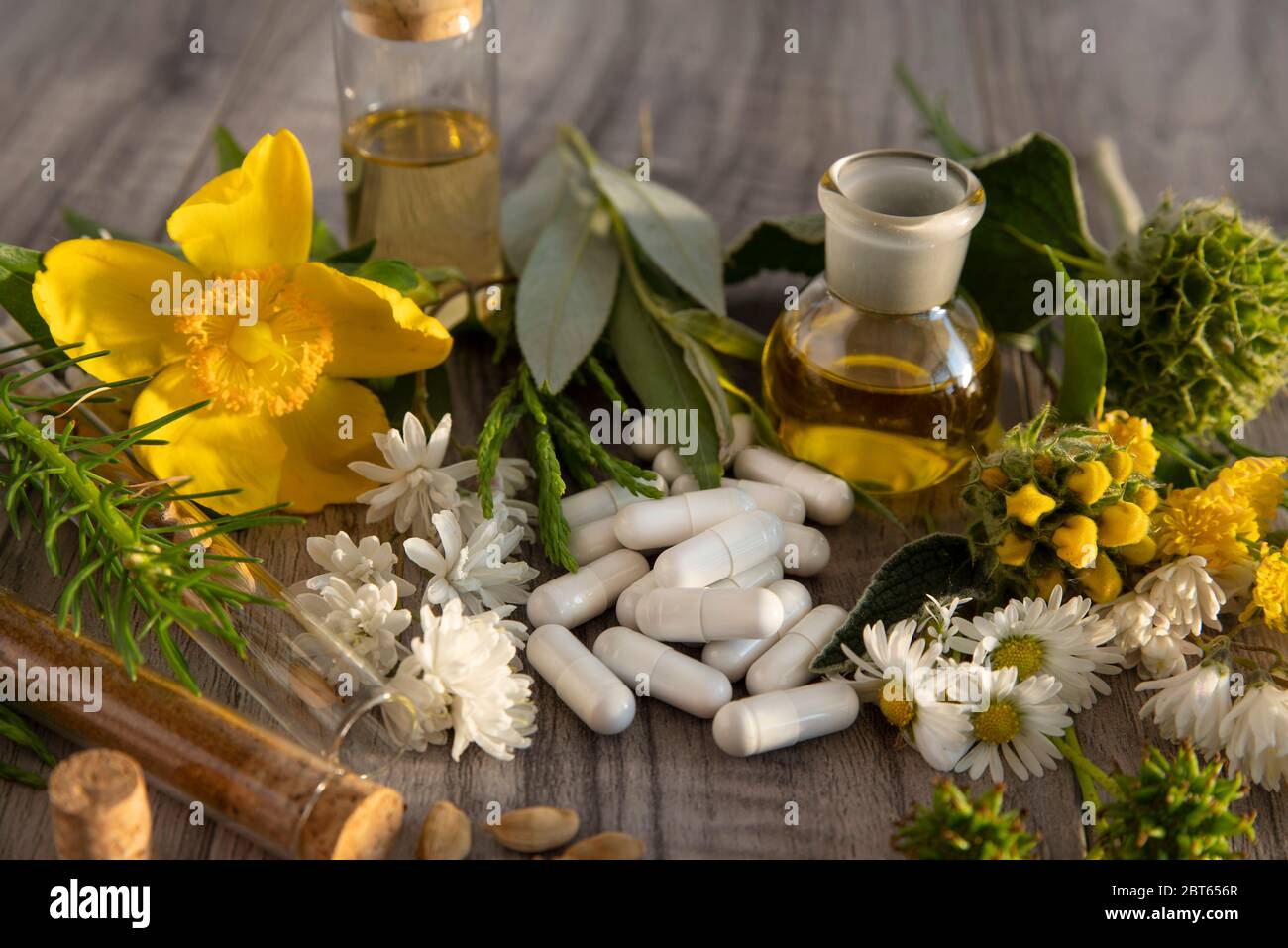 Plant-based preparation for self-healing Stock Photo - Alamy