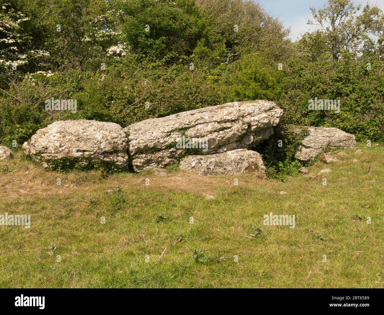 Anglesey heritage coed y glyn burial chamber hi-res stock photography ...