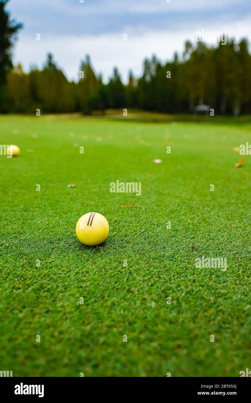 The yellow golf ball on the field Stock Photo - Alamy
