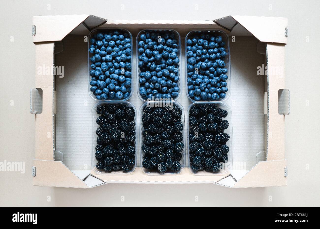 Blueberry in container hi-res stock photography and images - Alamy