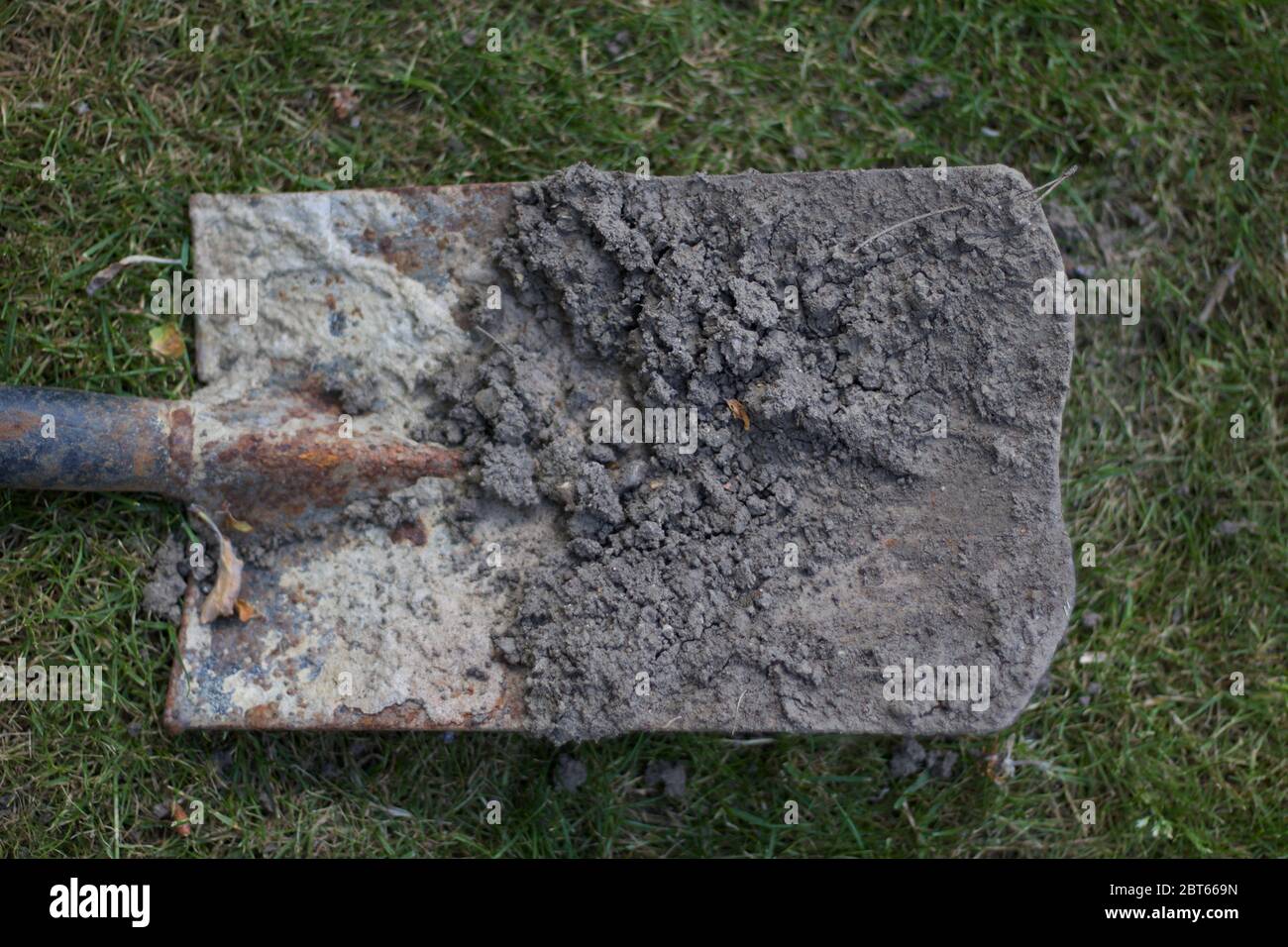 Mud covered rusty old metal spade lying on lawn high res Stock Photo ...