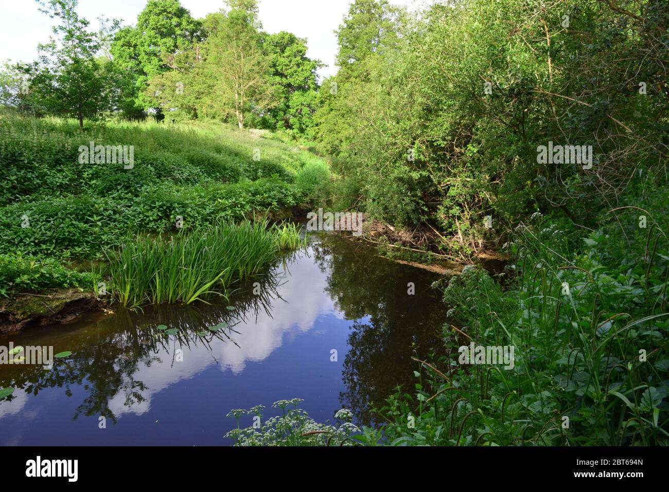 The River Mole in May in Horley in Surrey Stock Photo - Alamy