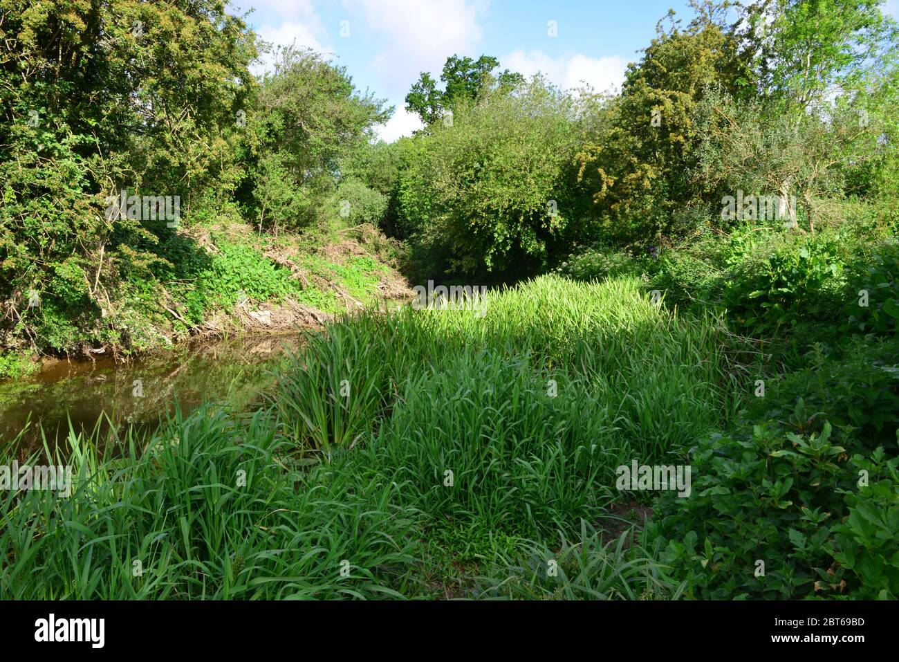 The River Mole in May in Horley in Surrey Stock Photo - Alamy