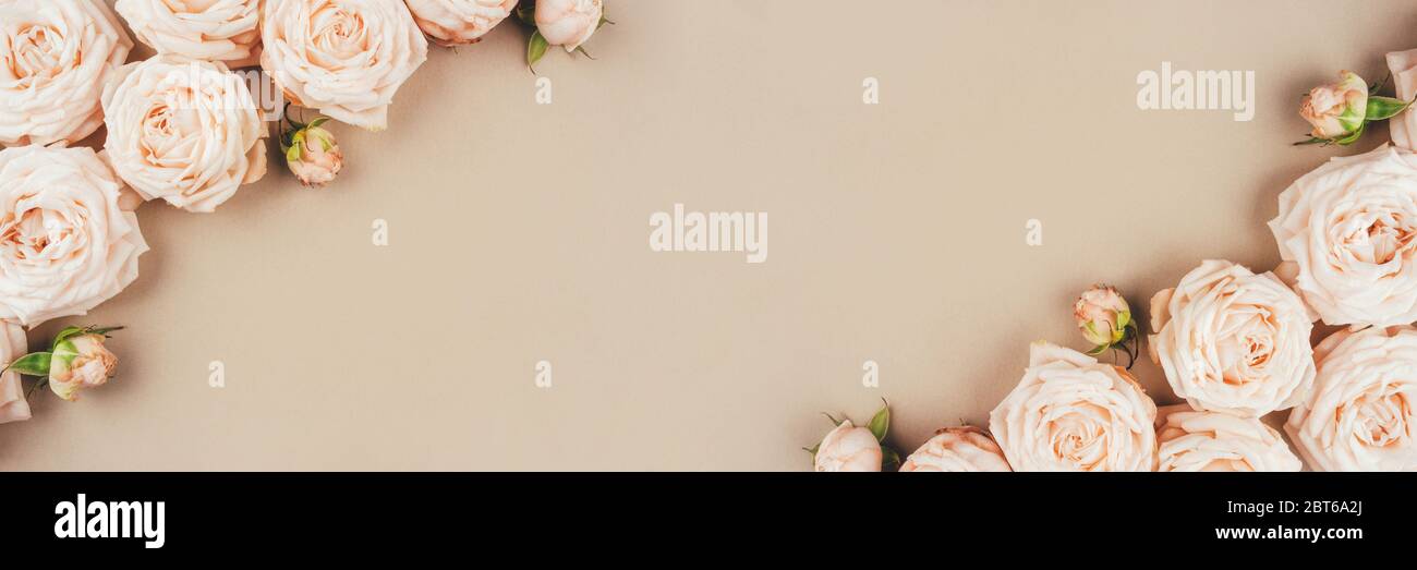 Spring background. Rose flowers on a beige background Stock Photo - Alamy
