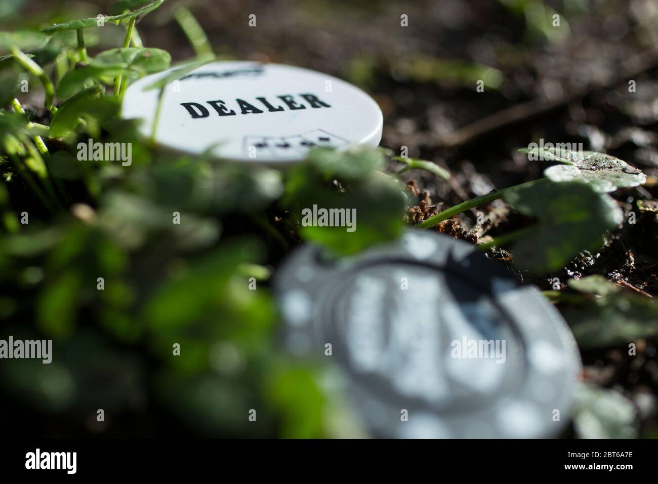 Gaming in nature hi-res stock photography and images - Alamy