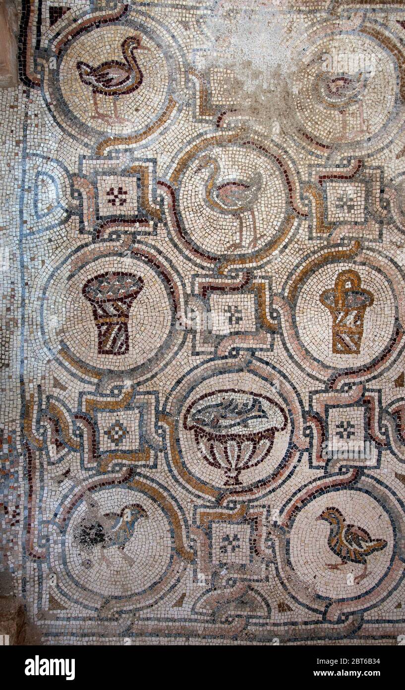 Roman mosaic at the inner courtyard of the desert castle Qasr Hallabat ...