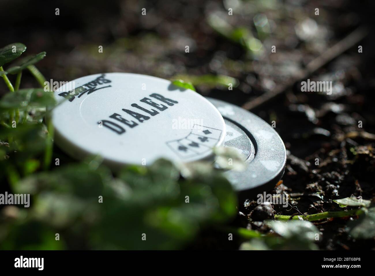 Gaming in nature hi-res stock photography and images - Alamy
