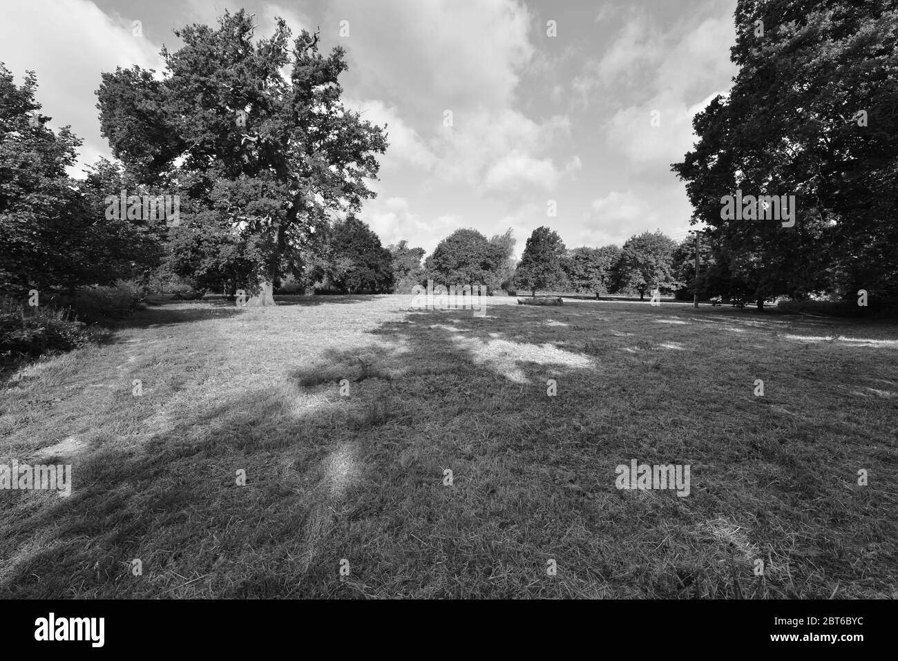 Open green field in Black and White Stock Photos & Images - Alamy