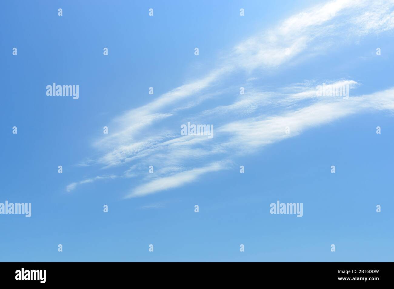 Llight translucent cirrus cloud high in the blue sky. Separate fibers ...