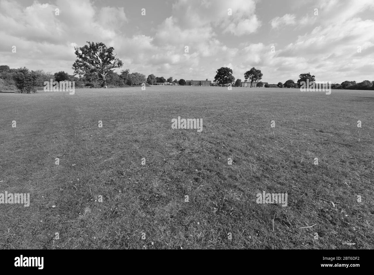 Wet football field Black and White Stock Photos & Images - Alamy