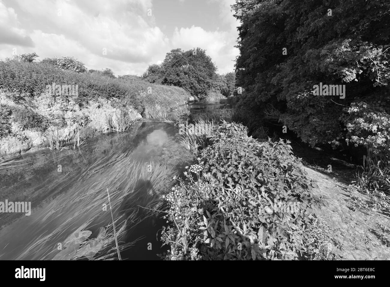 River mole Black and White Stock Photos & Images - Alamy