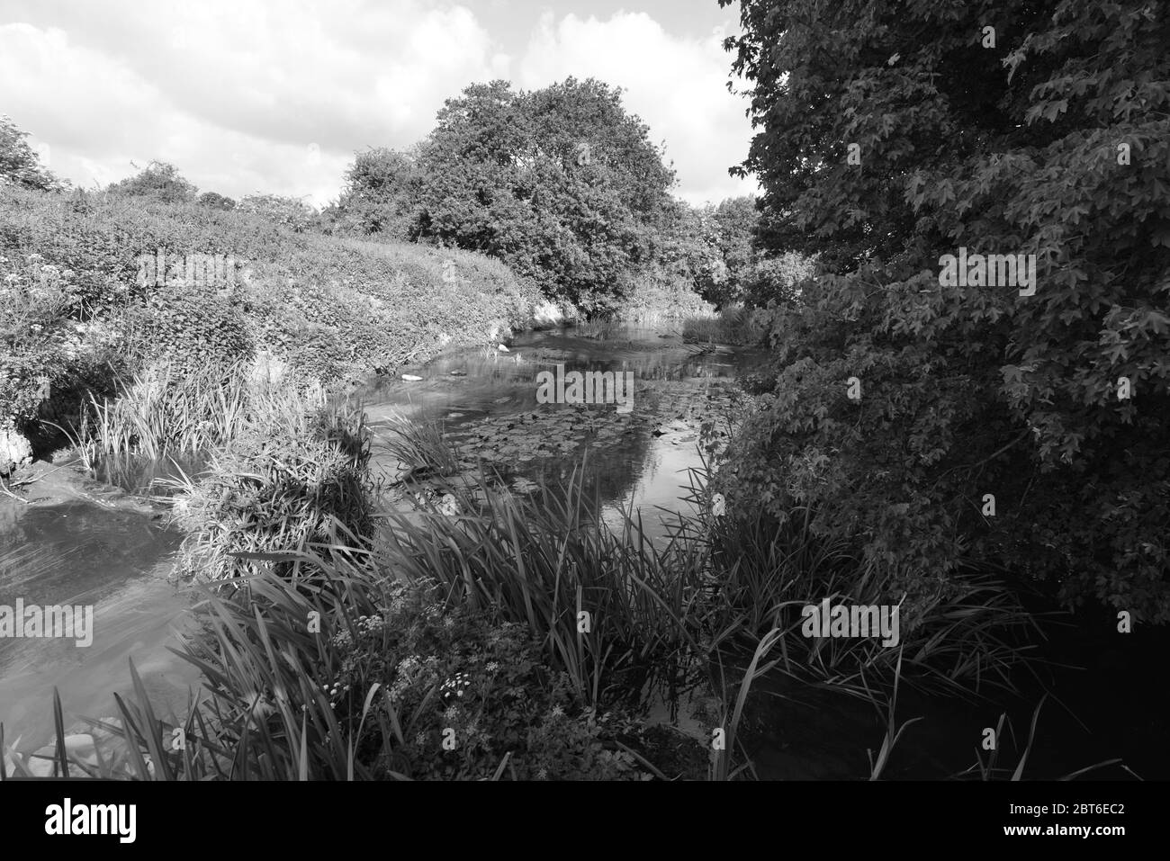 The River Mole in May in Horley in Surrey Stock Photo - Alamy