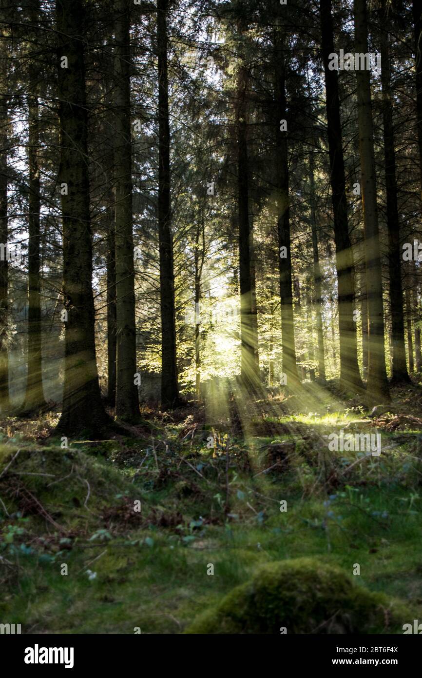 Sun ray beams hi-res stock photography and images - Alamy