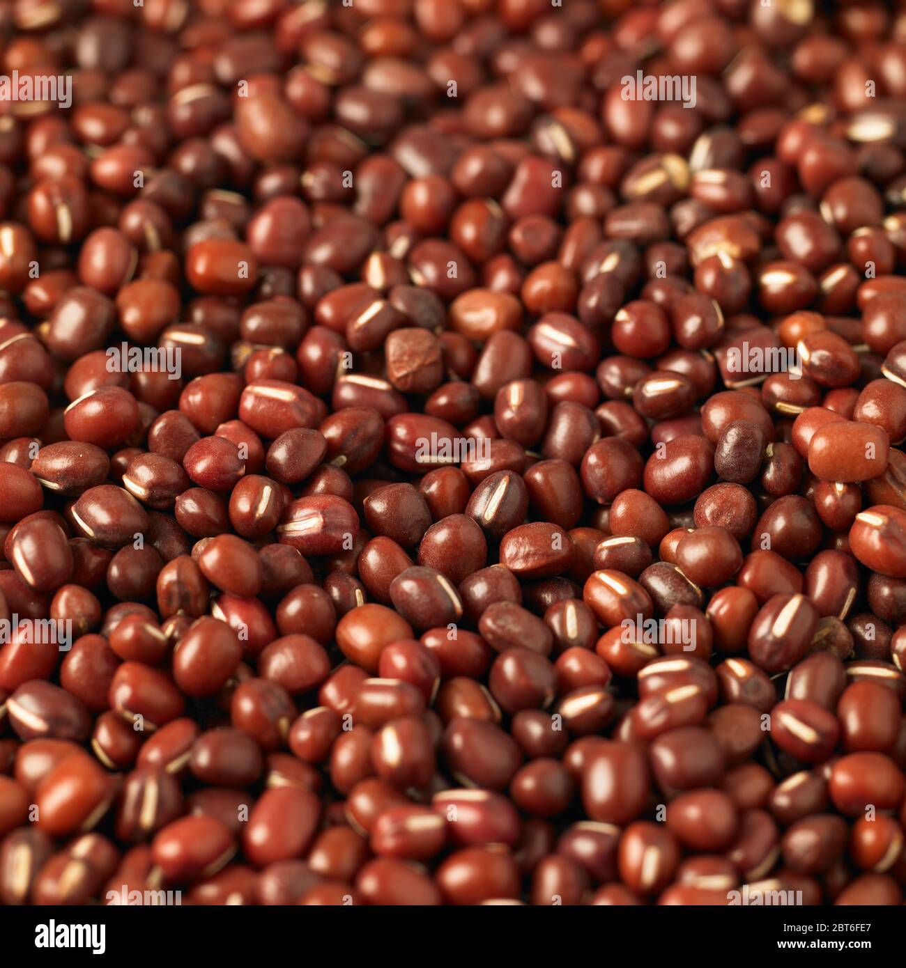 Aduki Beans, food ingredient Stock Photo - Alamy