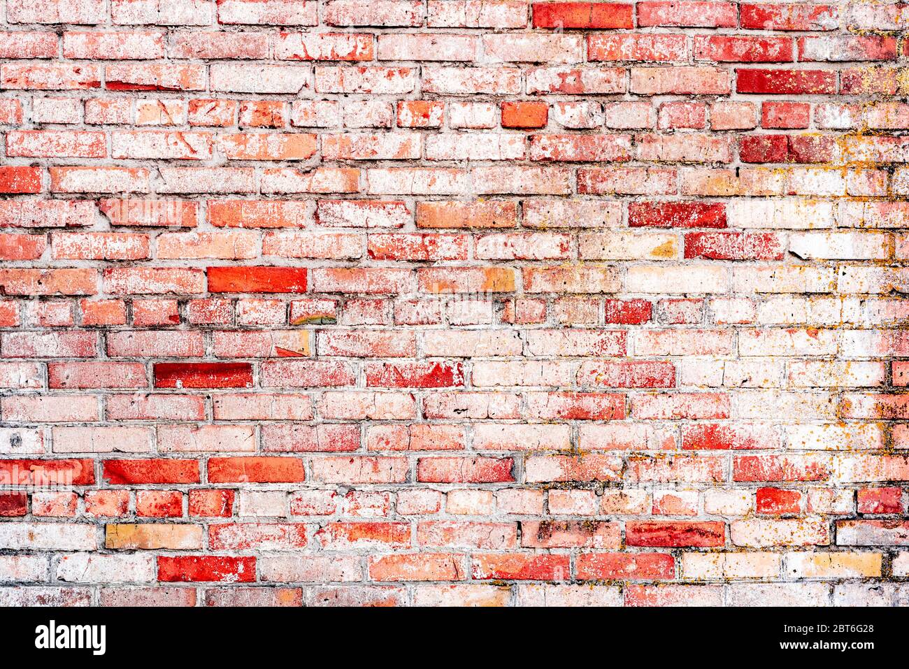 Texture, brick, wall, it can be used as a background. Brick texture ...