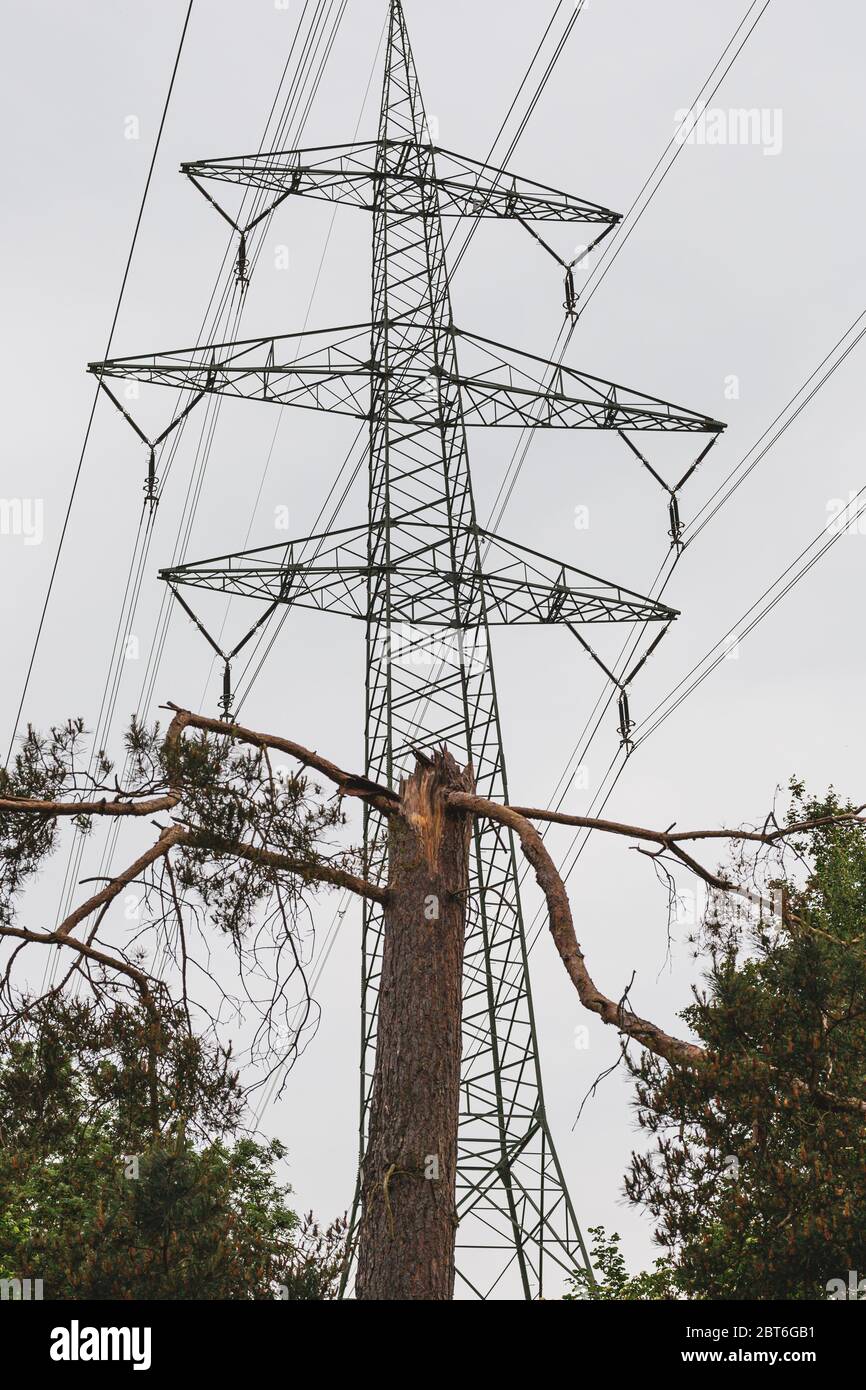 Broken tree after a power pole. Destroyed Nature. Cloudy sky Stock ...