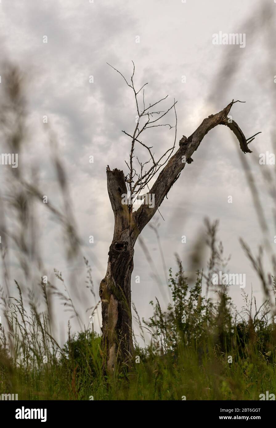 Destroyed nature hi-res stock photography and images - Alamy