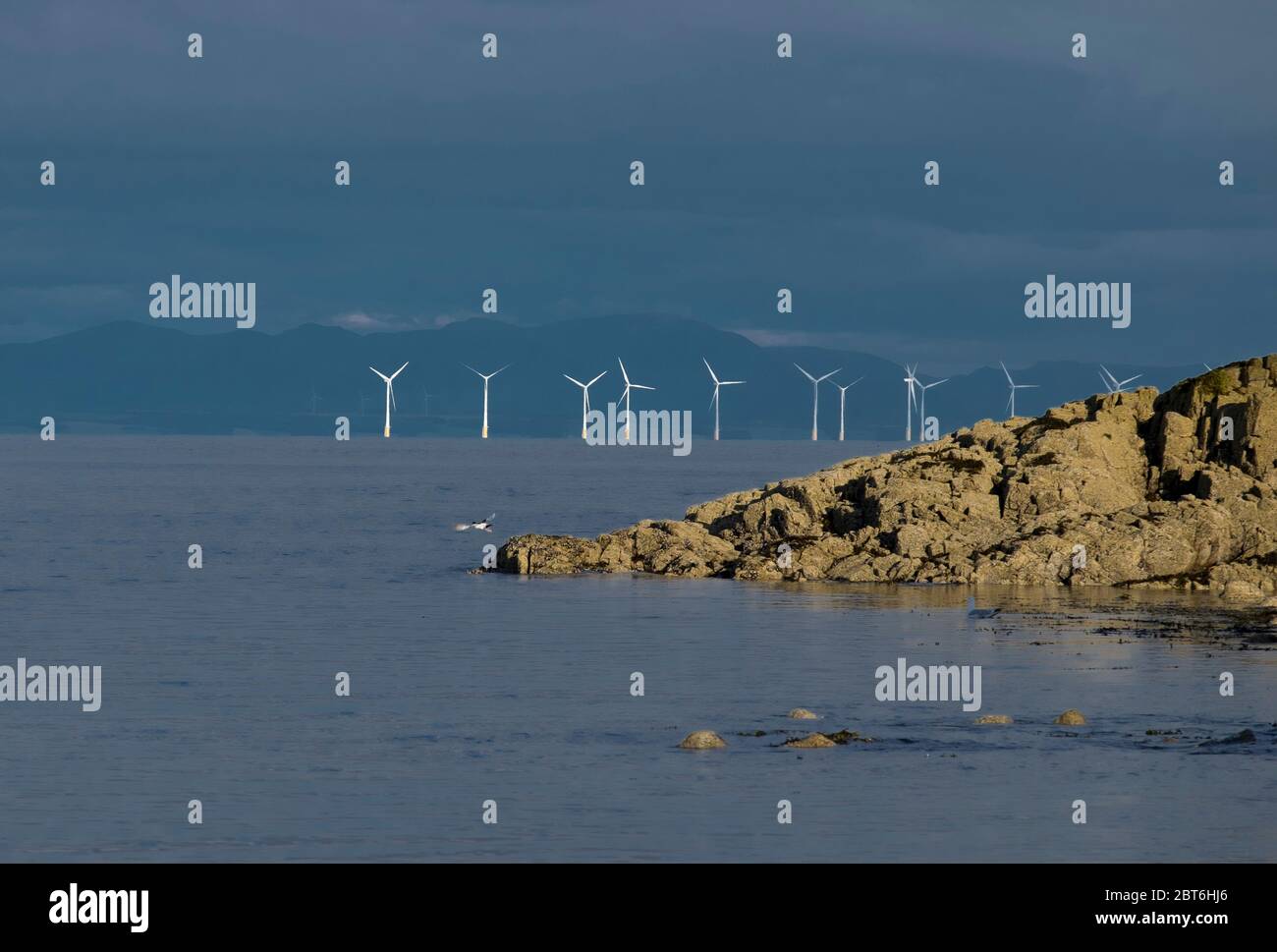 Robin Rigg wind farm from Balcary Bay, Solway Firth Stock Photo - Alamy
