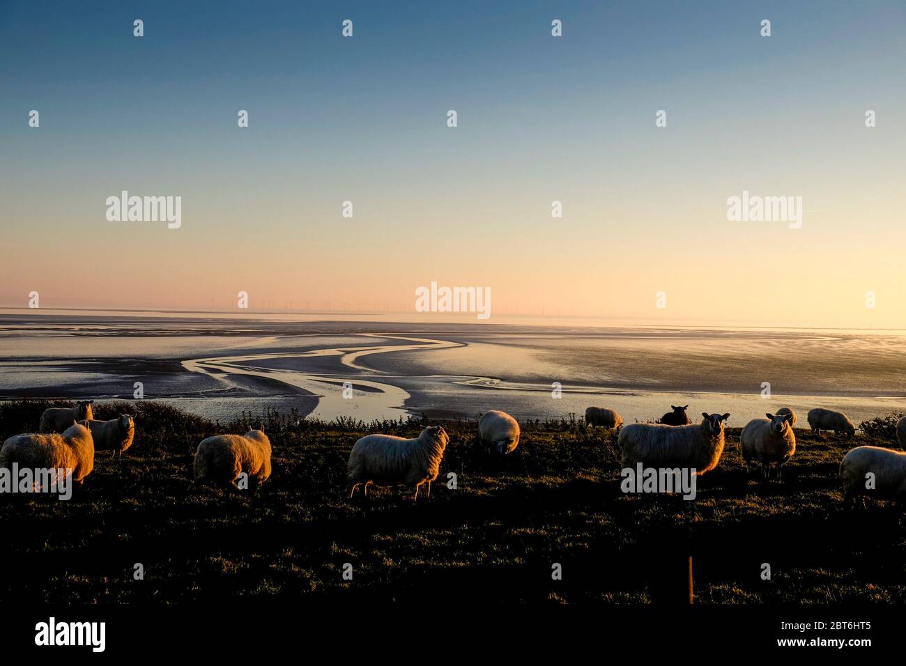 Solway estuary hi-res stock photography and images - Alamy
