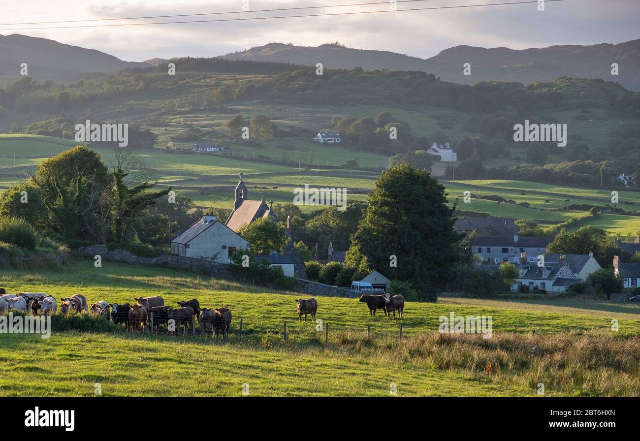 Auchencairn village and cattle Stock Photo - Alamy