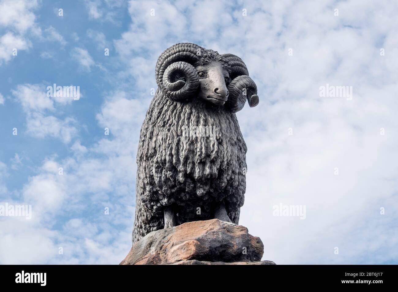 Moffat ram scotland hi-res stock photography and images - Alamy