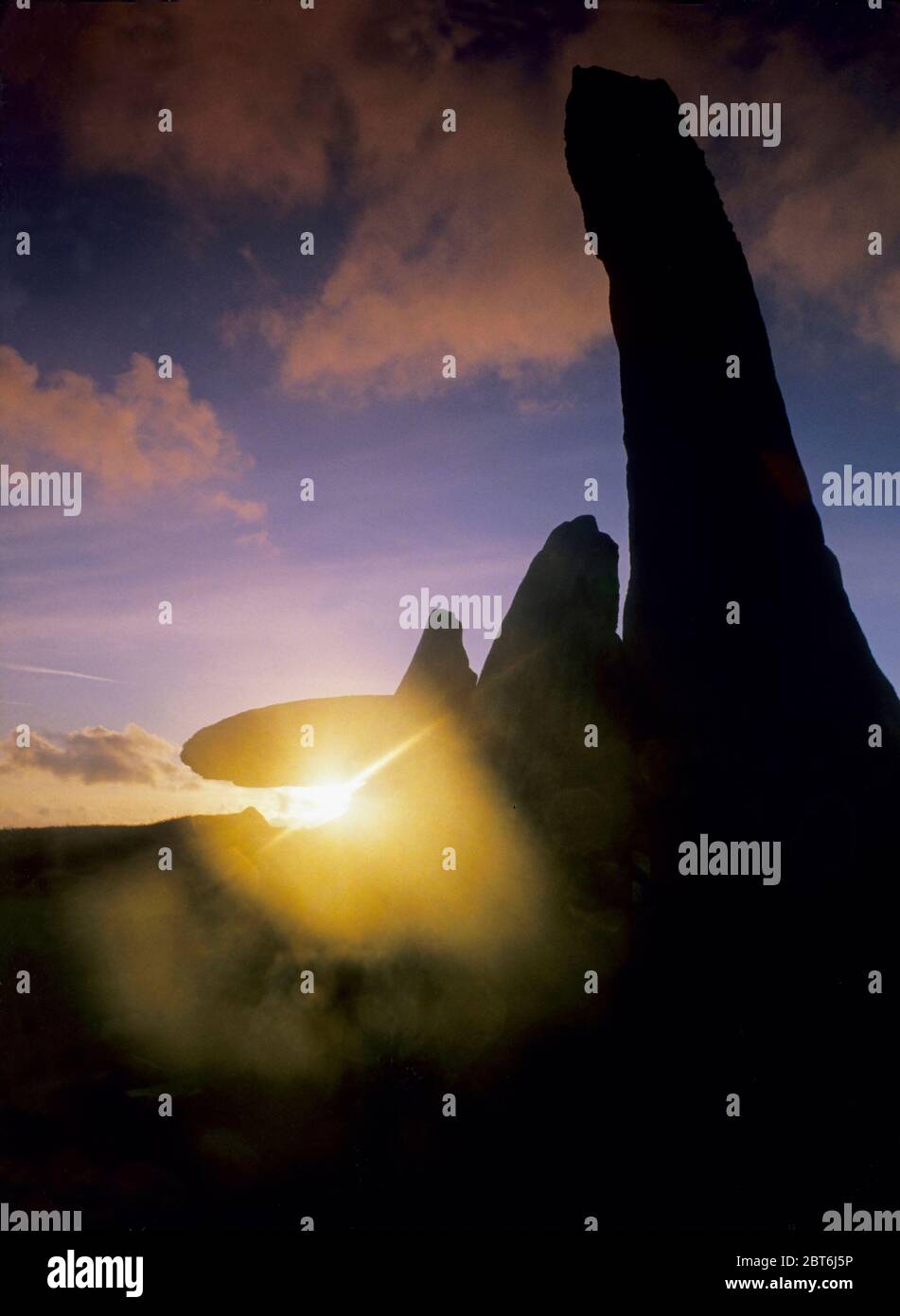Through the stones hi-res stock photography and images - Alamy