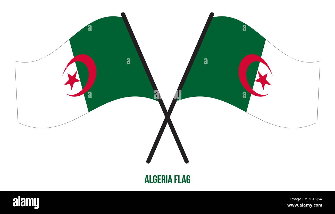 Two Crossed Waving Algeria Flag On Isolated White Background. Algeria Flag Vector Illustration ...
