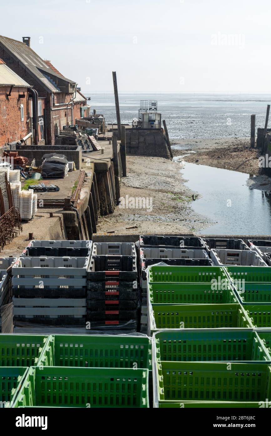 Zeeuwse village Yerseke with famous oysters wells for cultivation of ...