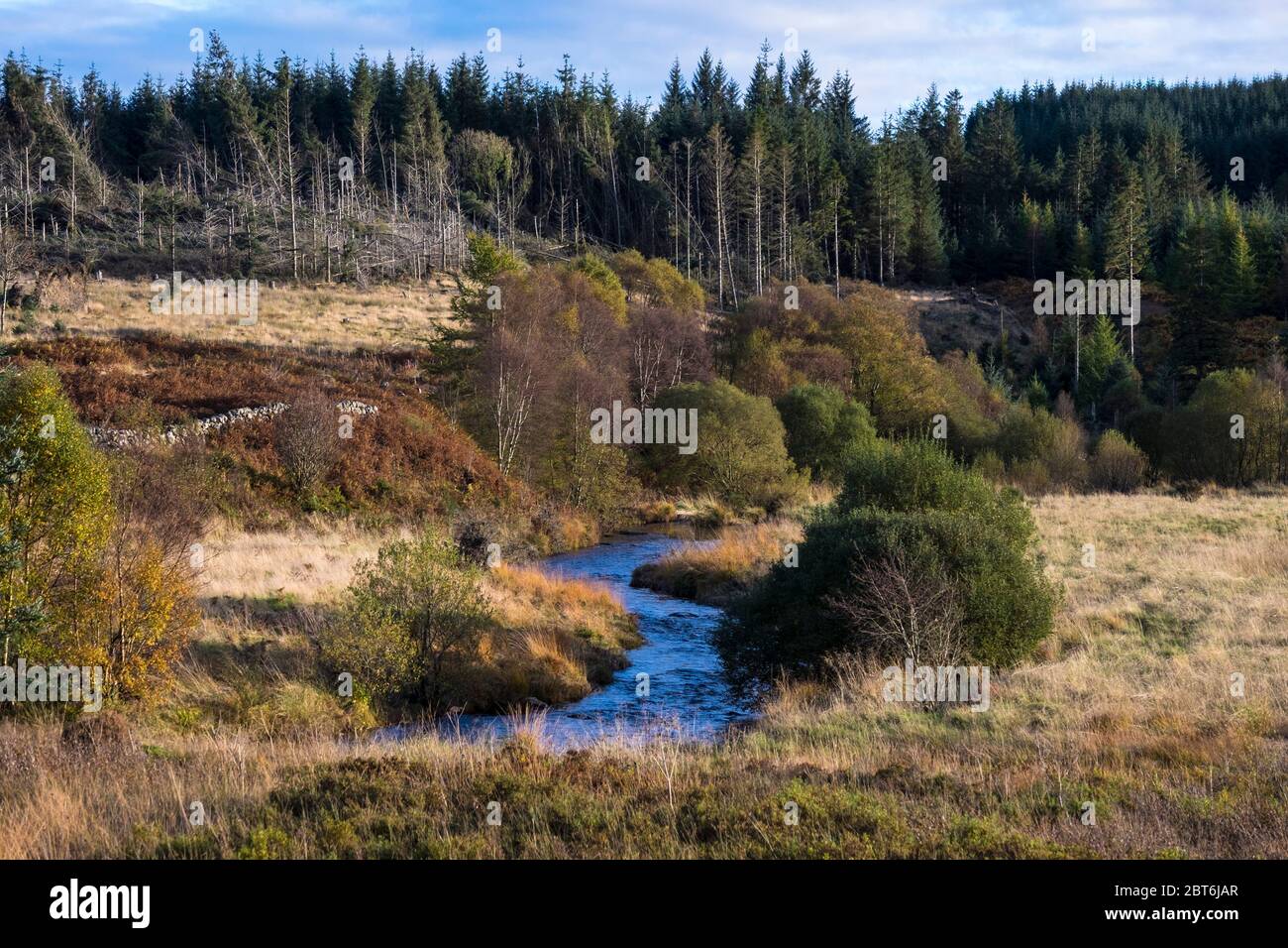 Rough moorland hi-res stock photography and images - Alamy