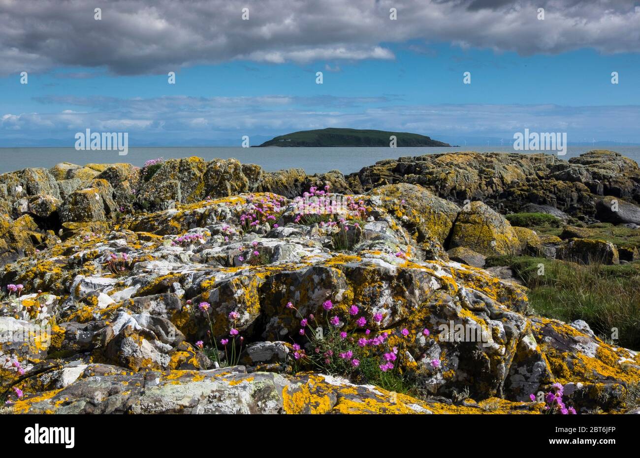 Auchencairn bay hi-res stock photography and images - Alamy