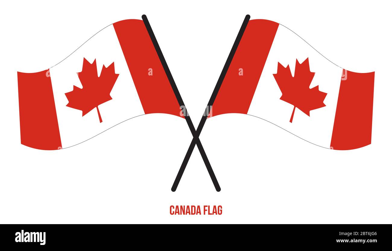 Waving Canadian Flag Vector