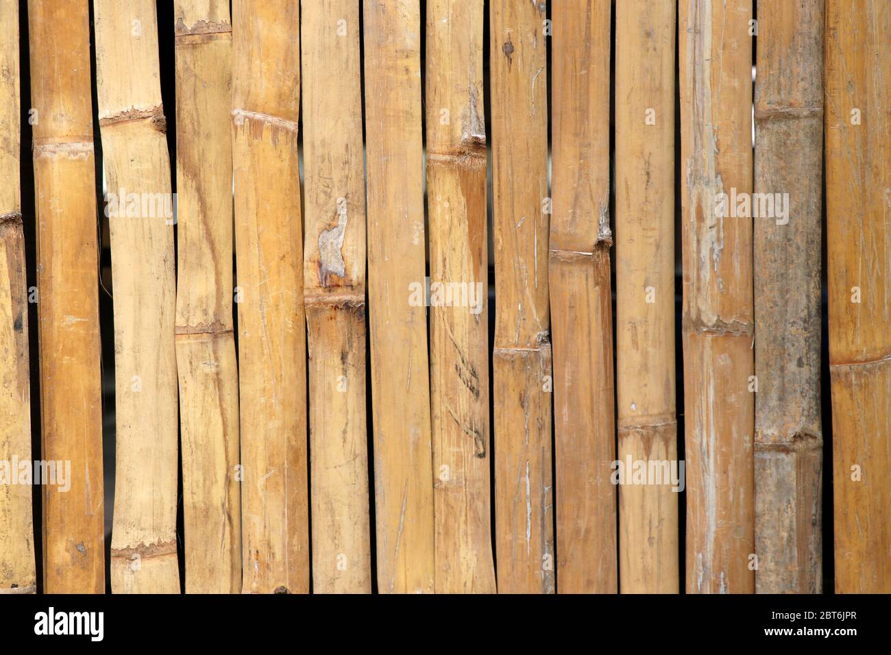 Vertical bamboo background. Dry bamboo background Stock Photo - Alamy