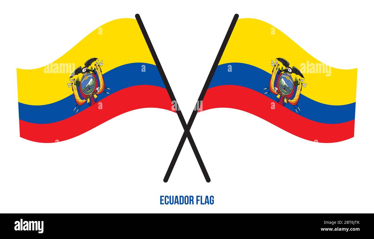 Ecuador Flag Waving Vector Illustration on White Background. Ecuador ...