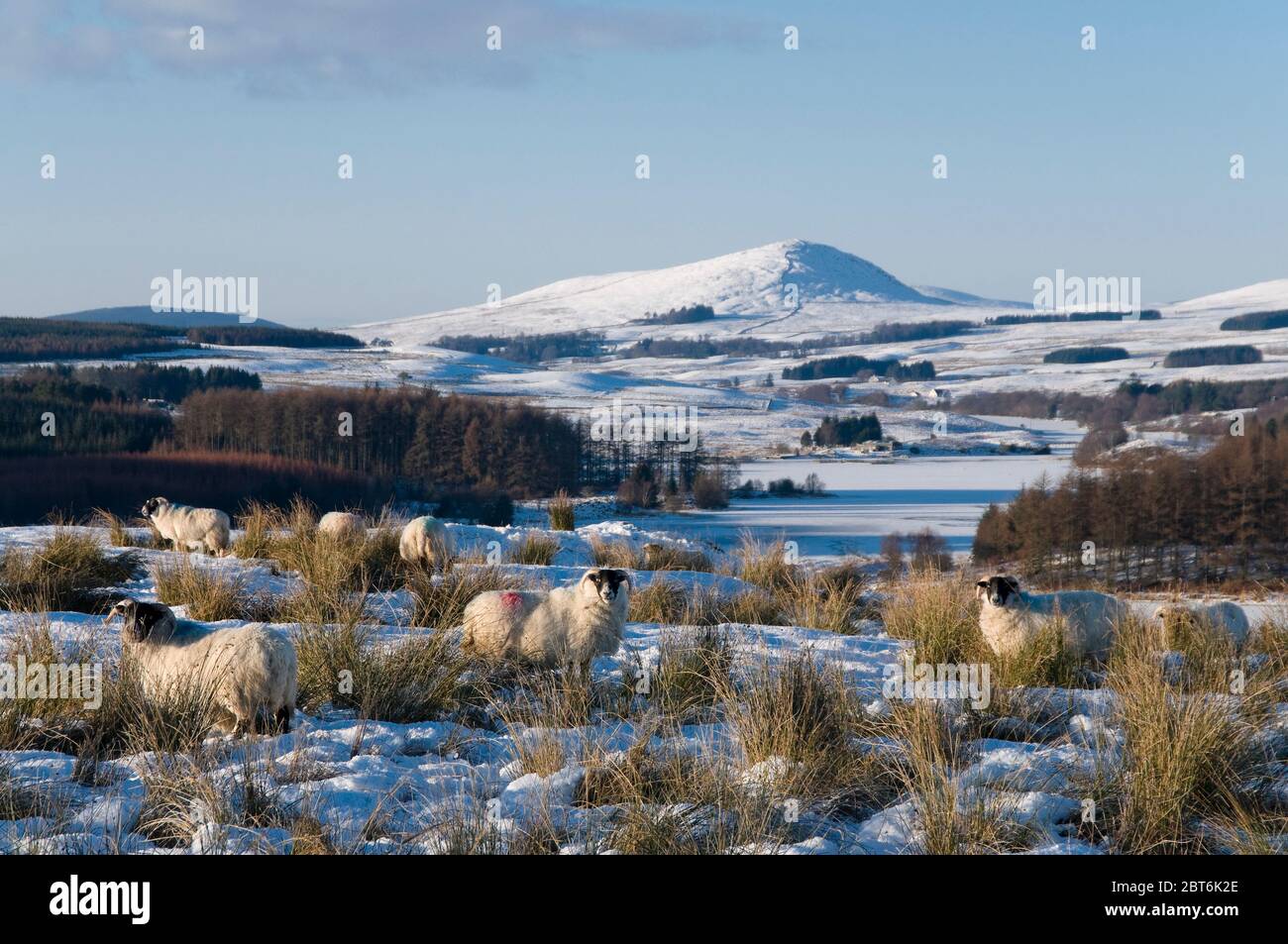 Ken bridge hi-res stock photography and images - Alamy