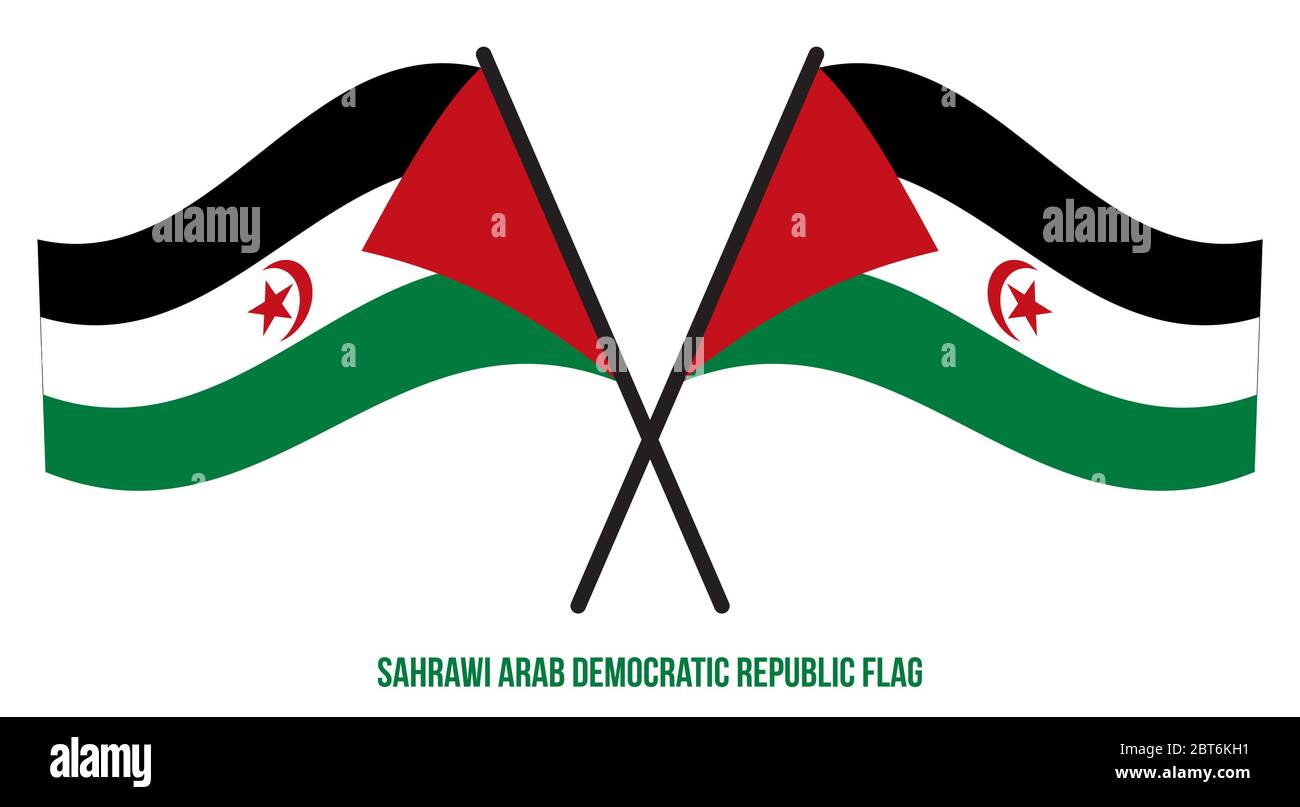 Sahrawi Arab Democratic Republic Flag Waving Vector Illustration on ...