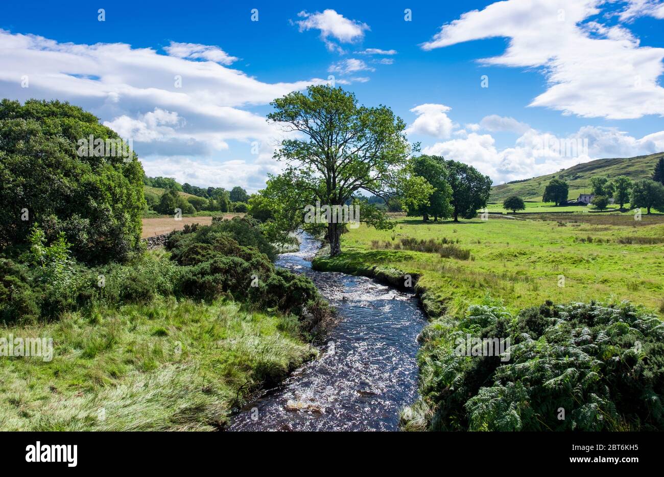 Nithsdale hi-res stock photography and images - Alamy