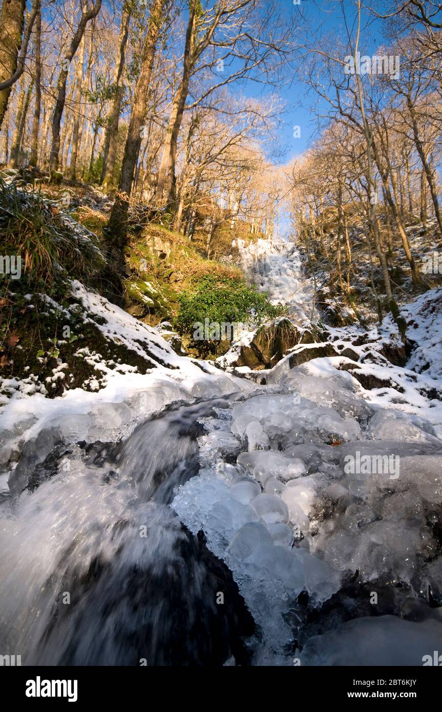 Oak wood nature reserve hi-res stock photography and images - Alamy